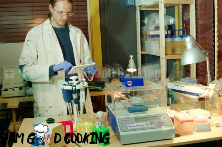 10 FOOD INNOVATIONS YOU NEED TO CARE ABOUT – DAM Good Cooking